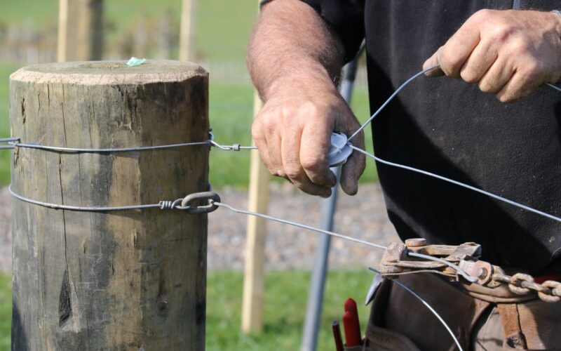 More vocational training in schools good for farming