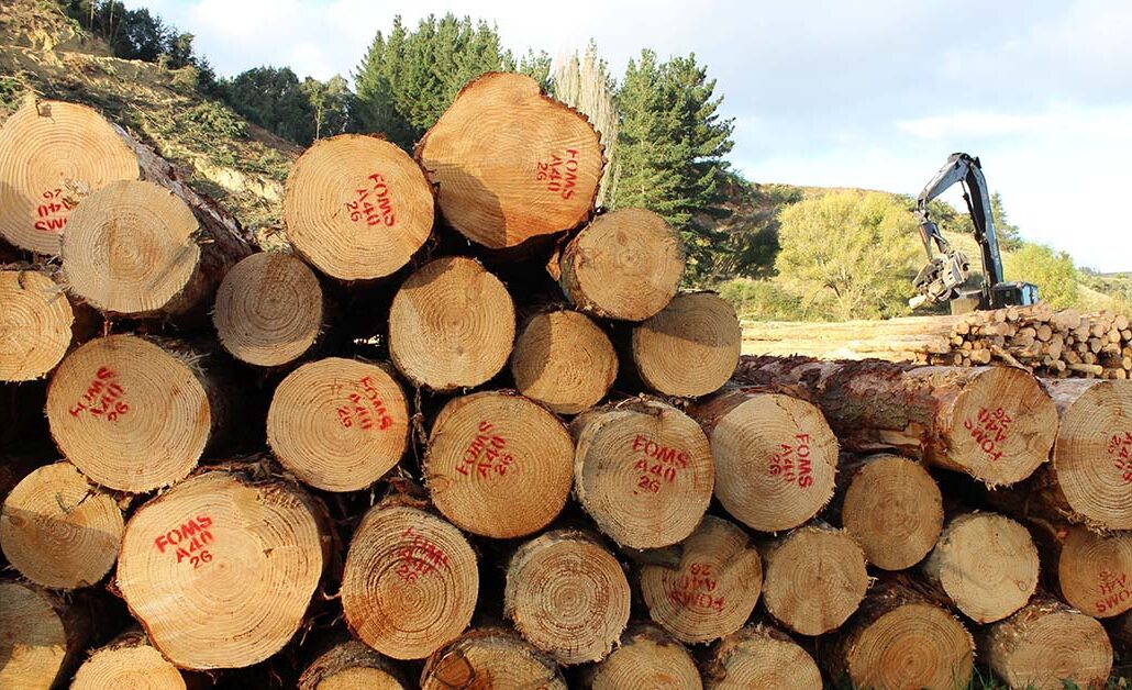 Kinleith Mill to halt paper production next year