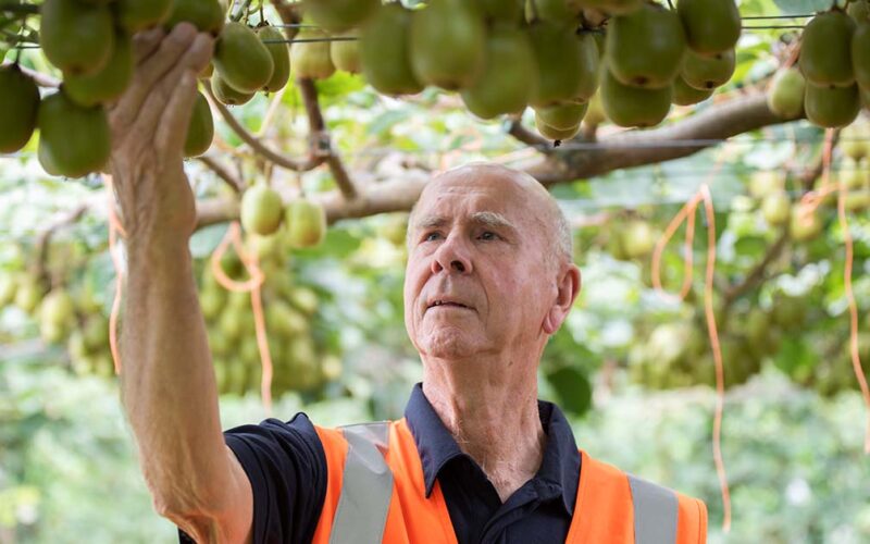 178 Kiwis recognised in 2026 King’s Birthday Honours