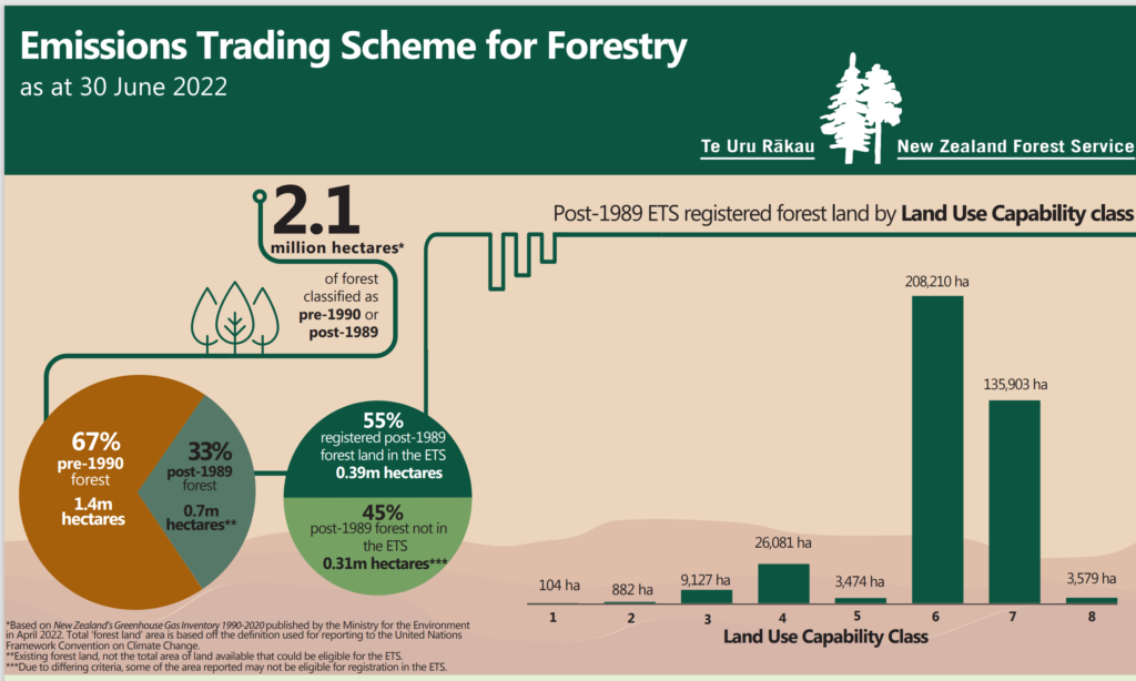 Surge in forestry registered under ETS