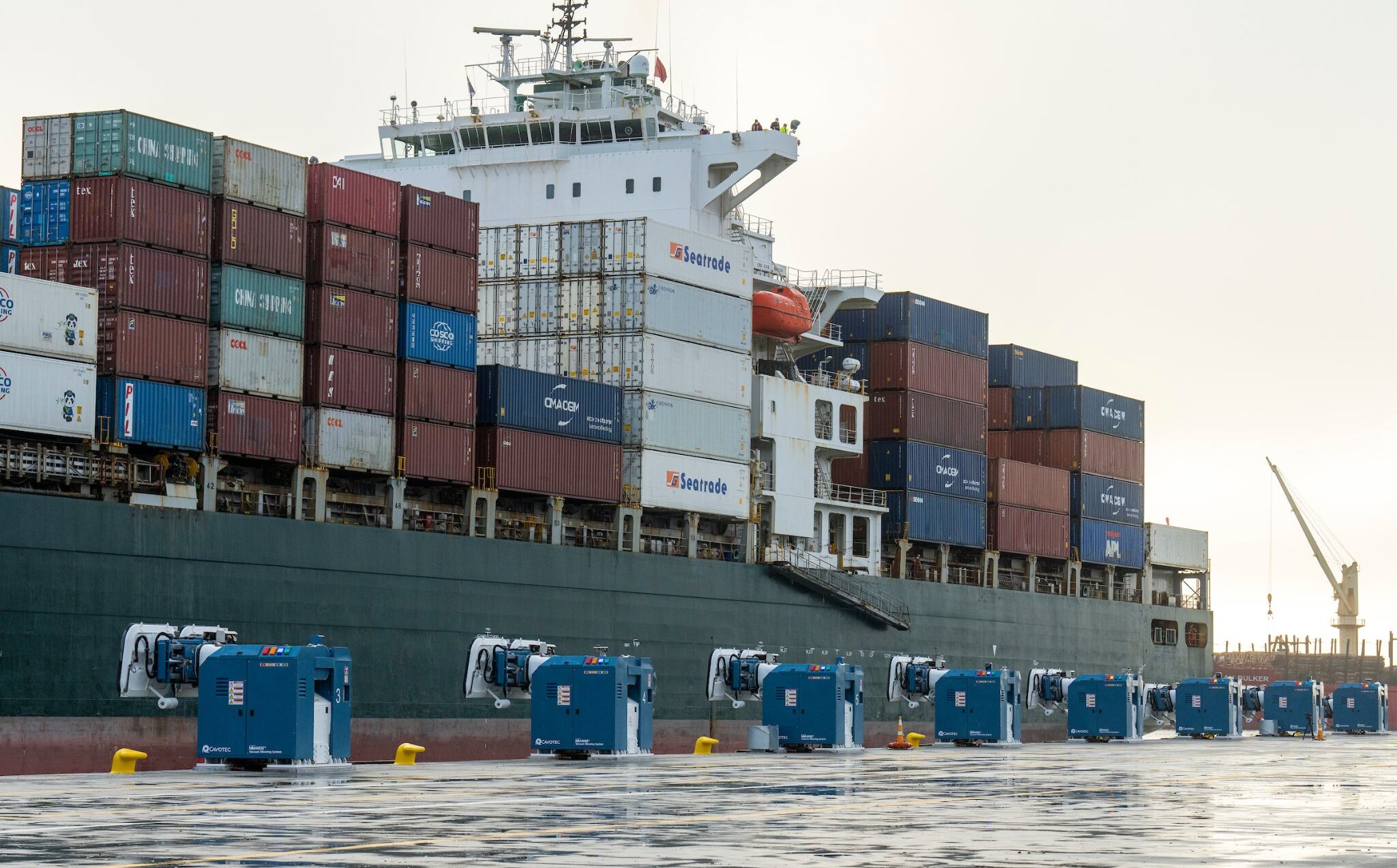 FTAs will open doors to sheepmeat growth