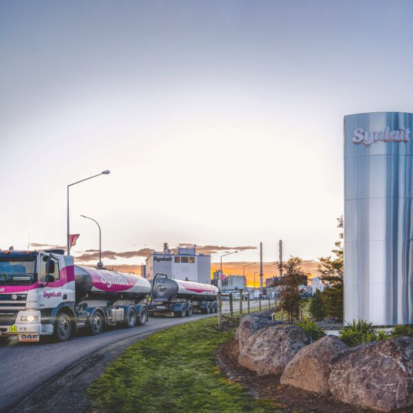 Synlait faces a challenging and confusing future