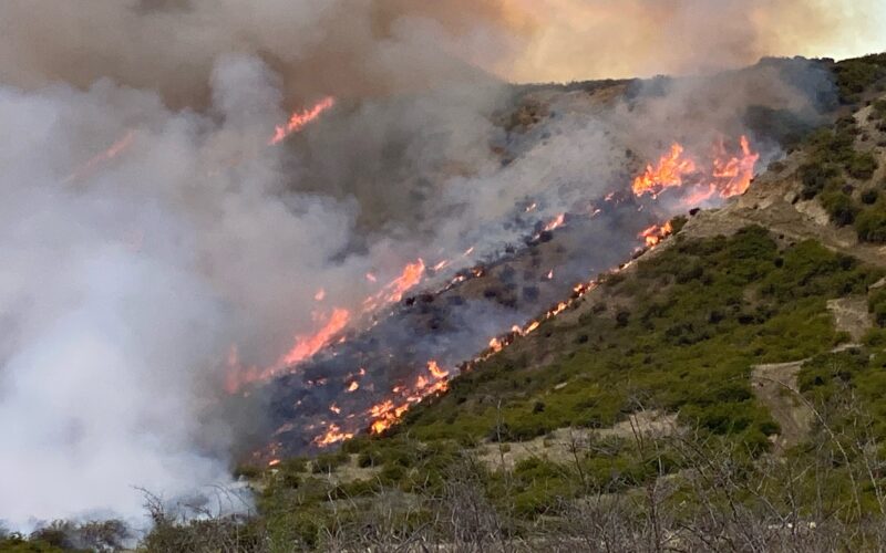 Feds douse FENZ levy hike idea