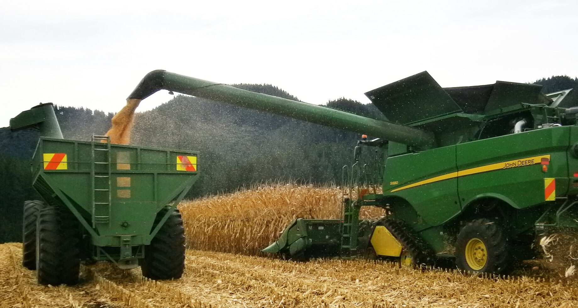 Dairy can help smooth maize’s wild ride