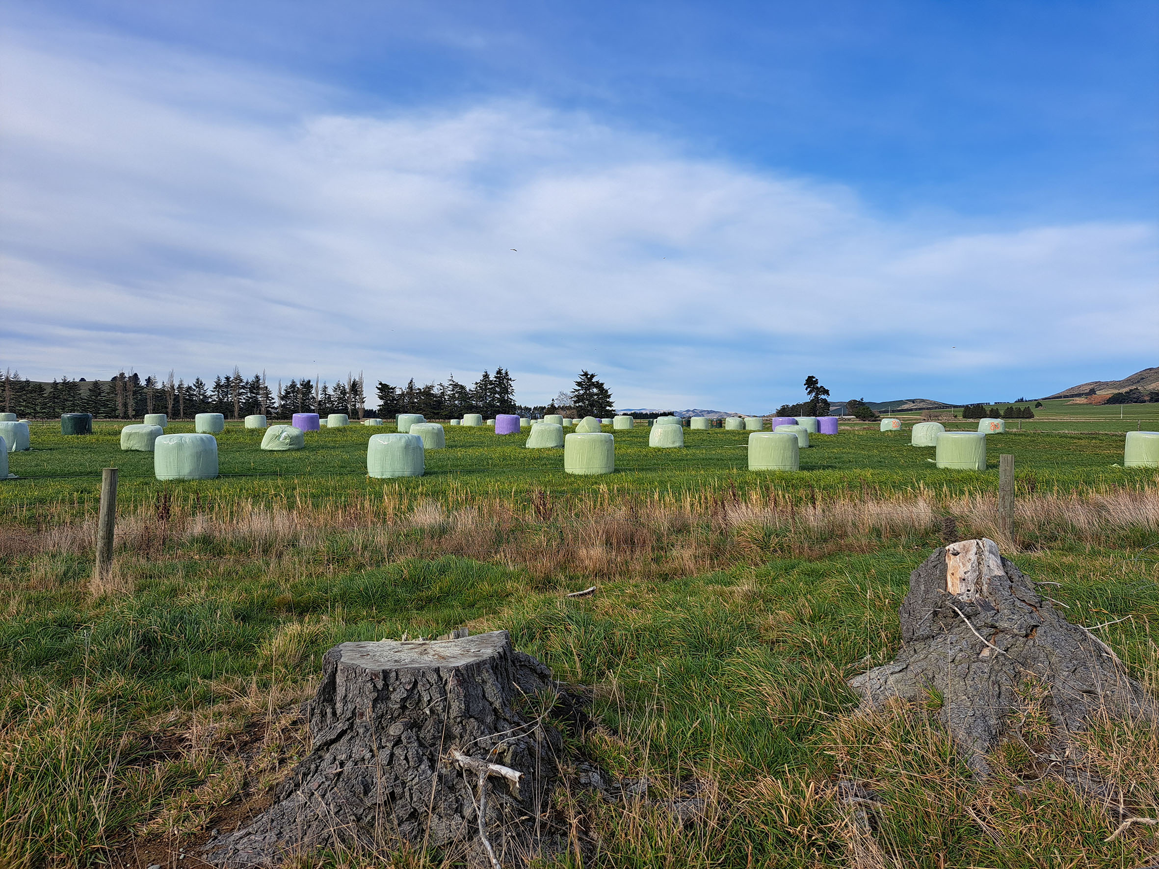 Reminder of new Southland wintering rules