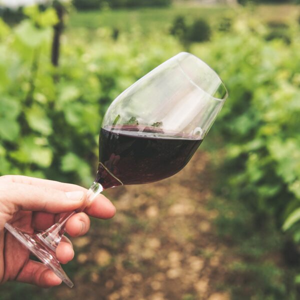 Good news for wine as India FTA moves along