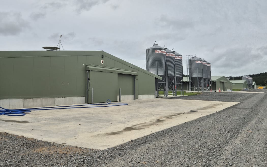 Inside a chicken farm’s biosecurity efforts