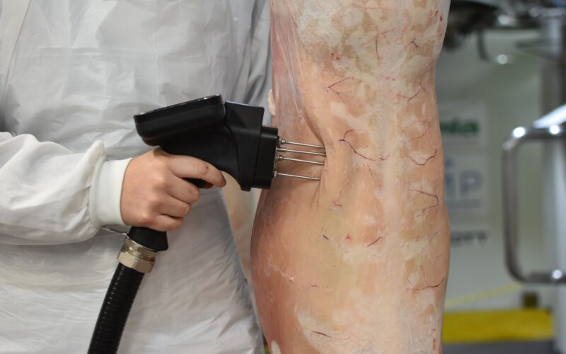 Alliance Group launches AI meat quality insights for farmers