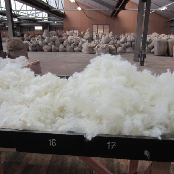 New chair of Climate Change Commission named