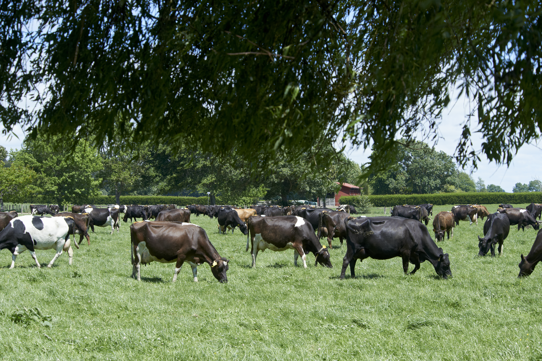 Sector sees sense in new methane targets