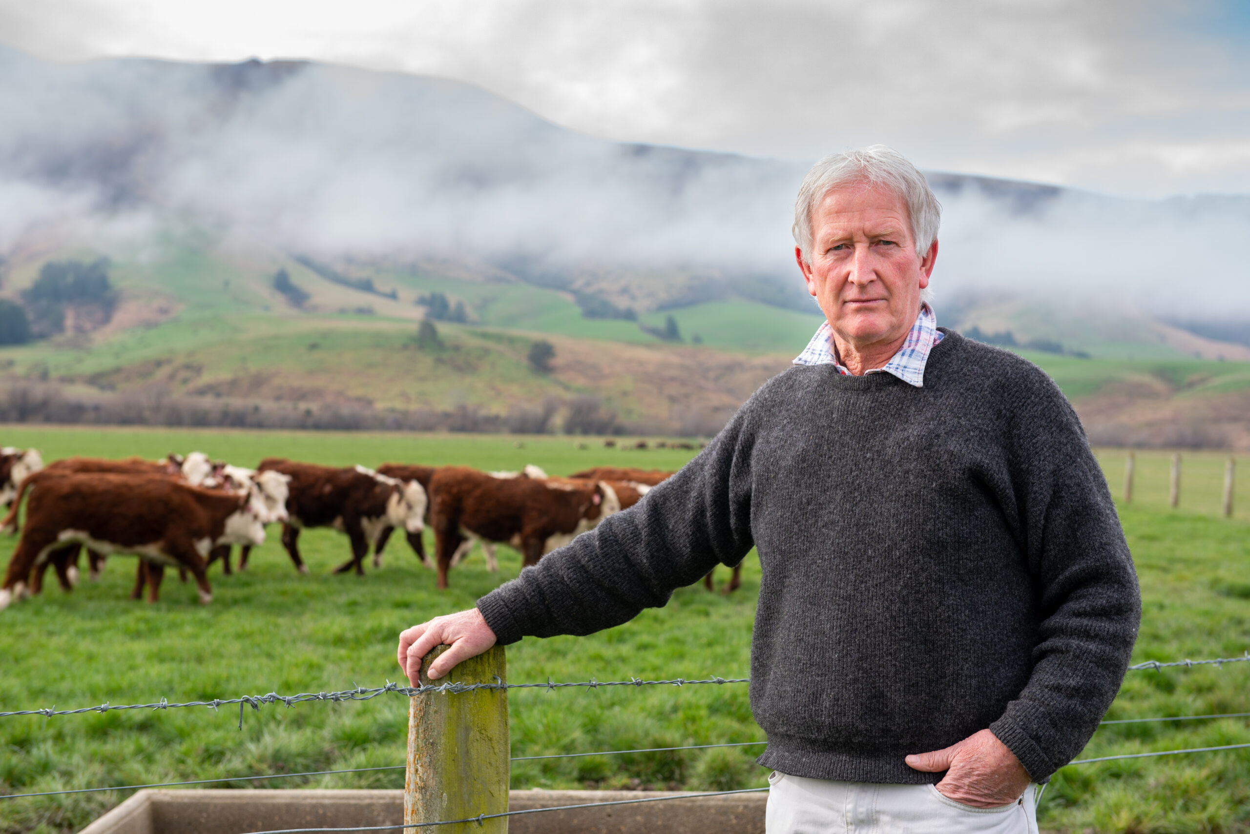 Two director slots open on BLNZ board