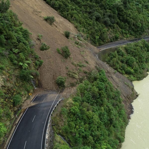 New populations of rare fish found