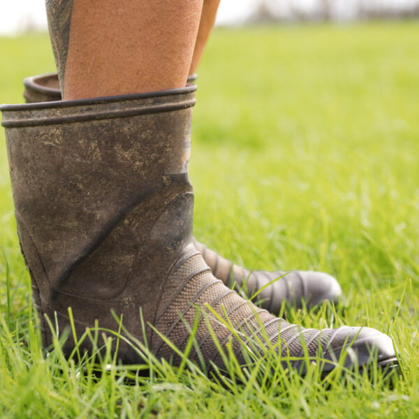Fonterra opens 2026-27 season with strong forecast