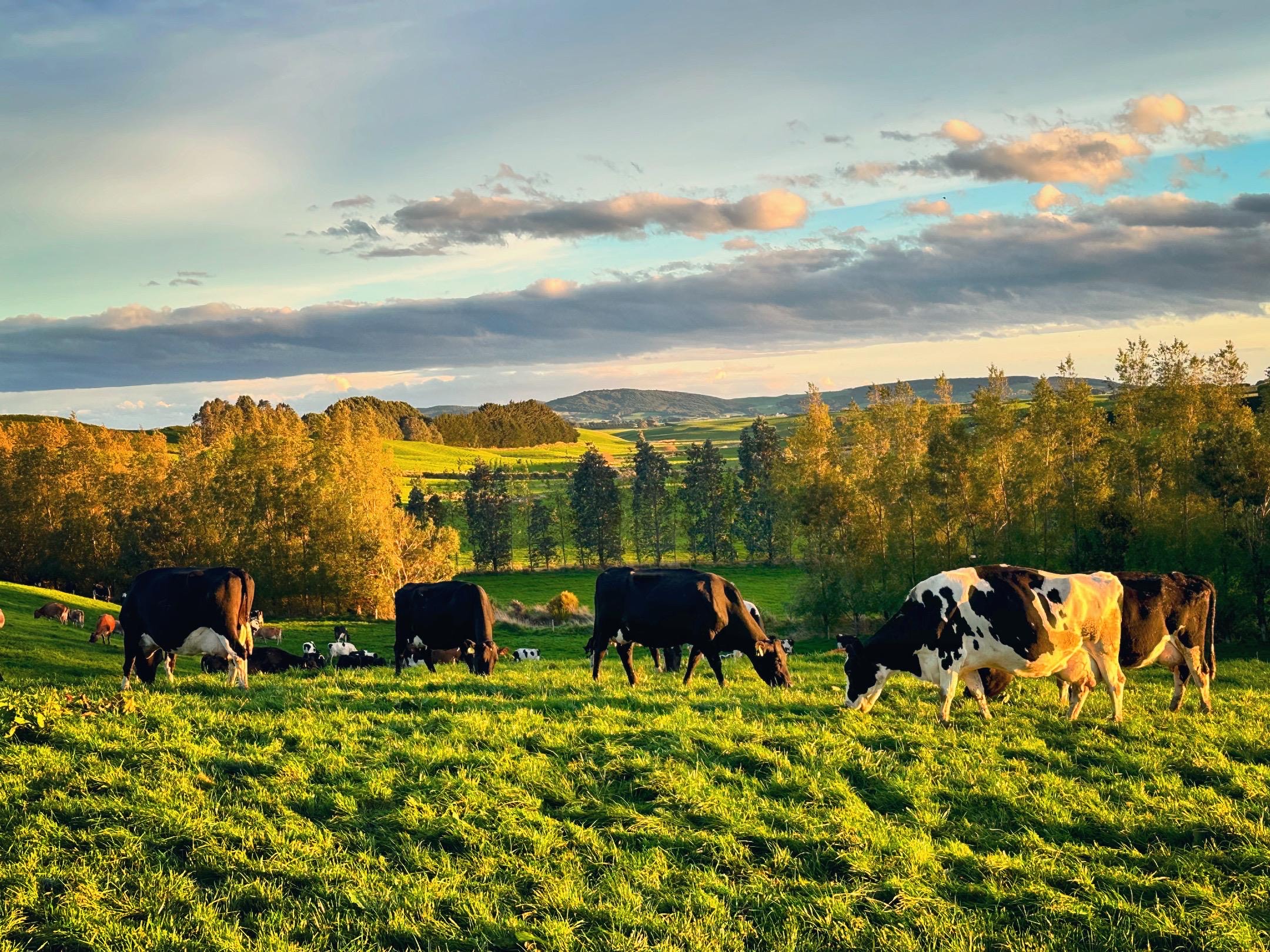We bought a farm: proof of how far the Ramsays have come