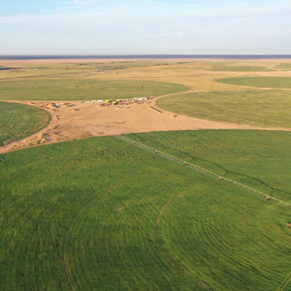 Chance to visit a 100,000-cow organic dairy farm