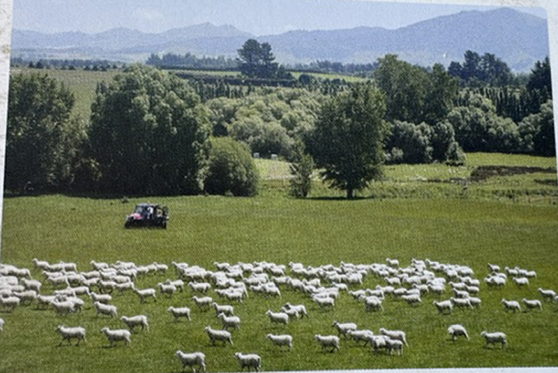 The last generation: when farm succession plans don’t play out