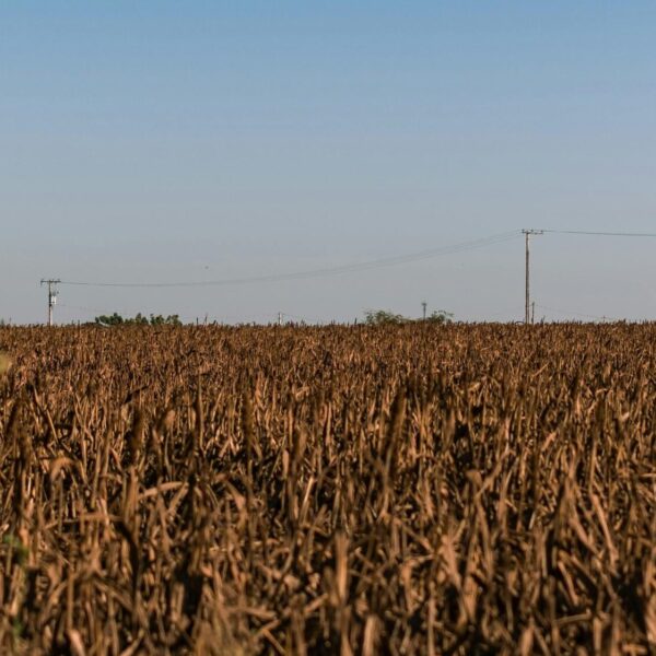 Balance is key to climate change policies